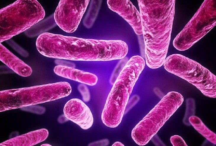 Sepsi: sintomi, cause e terapia - NanoPress Donna