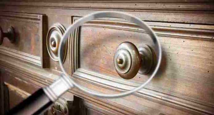 Tarli dai mobili, è questa amatissima spezia ad allontanarli in pochi ...